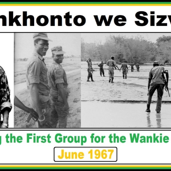 Afri Home - CASTRO KHWELA